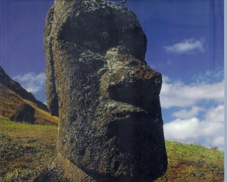 From the Editors of Questioning Collapse: Requesting Full Disclosure ...