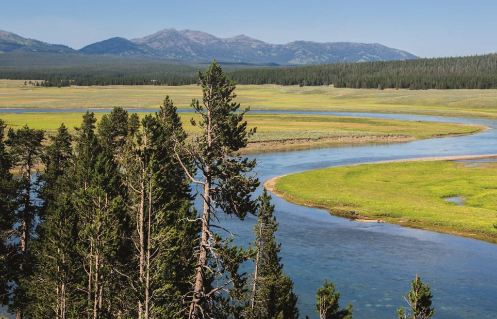 Protecting More with Less: Forest Protection Using the Science of ...