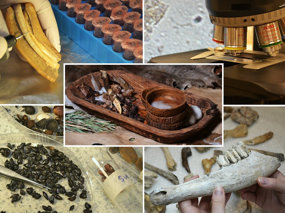 Palaeoeconomy Revisited: culture, economy and 21st century ...