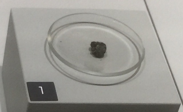 Jean-Baptiste Biot, founder of the scientific study of meteorites ...